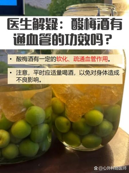 酸梅酒的功效与作用_酸梅酒哪些人不能喝-第3张图片-山城妙识