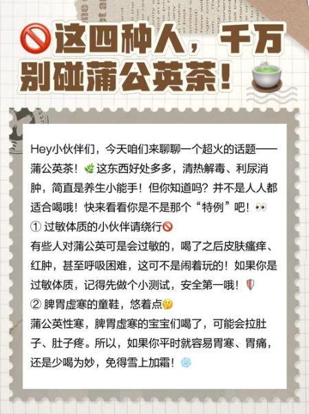 蒲公英茶哪些人不能喝_四种禁忌体质-第1张图片-山城妙识