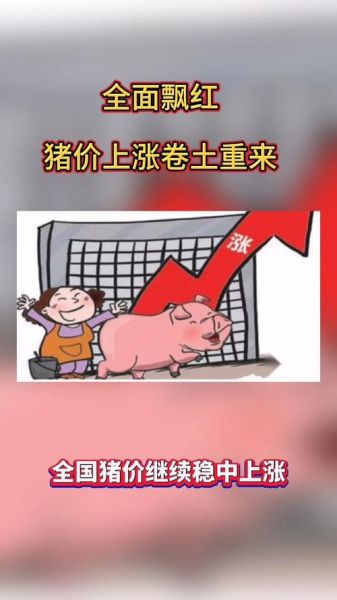 2021年底猪价会大涨吗_猪价上涨原因分析-第1张图片-山城妙识