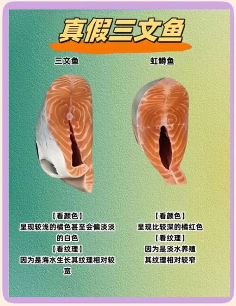 虹鳟鱼和金鳟鱼区别_哪个更好吃-第1张图片-山城妙识