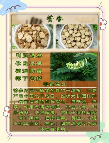 苦参的功效与作用_苦参能治哪些皮肤病-第1张图片-山城妙识