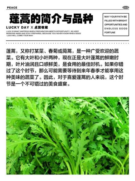 蓬蒿菜的营养价值_蓬蒿菜的功效与作用-第3张图片-山城妙识