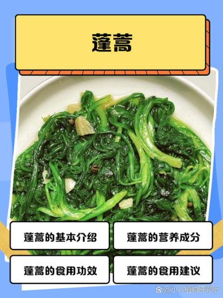 蓬蒿菜的营养价值_蓬蒿菜的功效与作用-第2张图片-山城妙识