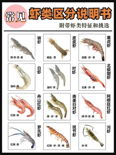 淡水虾有哪些品种_常见淡水虾种类大全-第1张图片-山城妙识