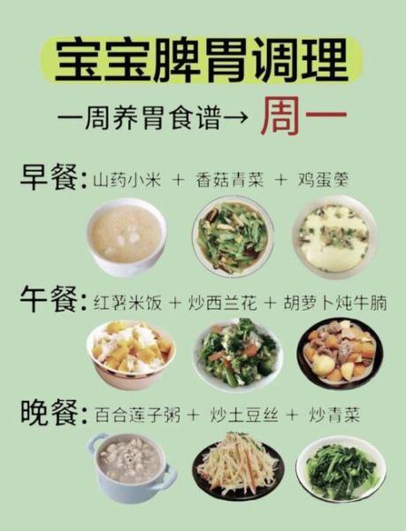 一周菜谱怎么安排表_如何制定家庭健康食谱-第3张图片-山城妙识