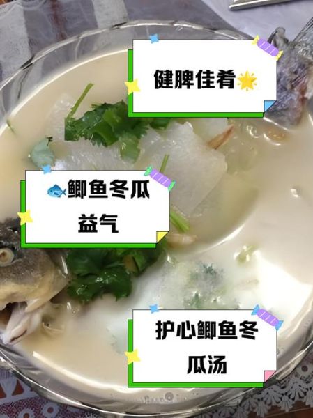 冬瓜鲫鱼汤的功效与作用_孕妇可以喝吗-第1张图片-山城妙识