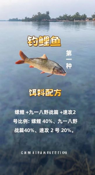 鲤鱼饵料怎么搭配_鲤鱼饵料配方推荐-第1张图片-山城妙识