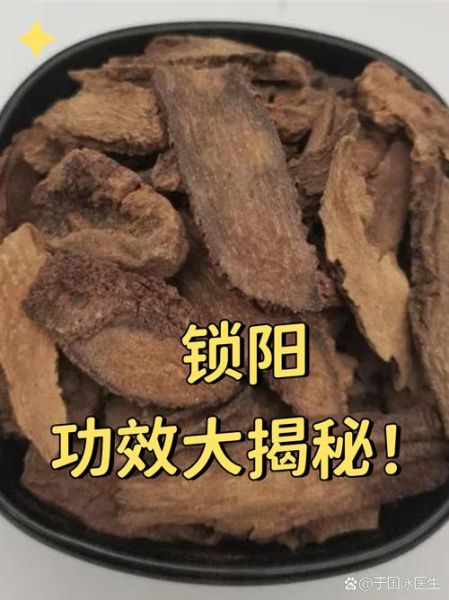 锁阳的功效与作用及禁忌_哪些人不能吃锁阳-第1张图片-山城妙识