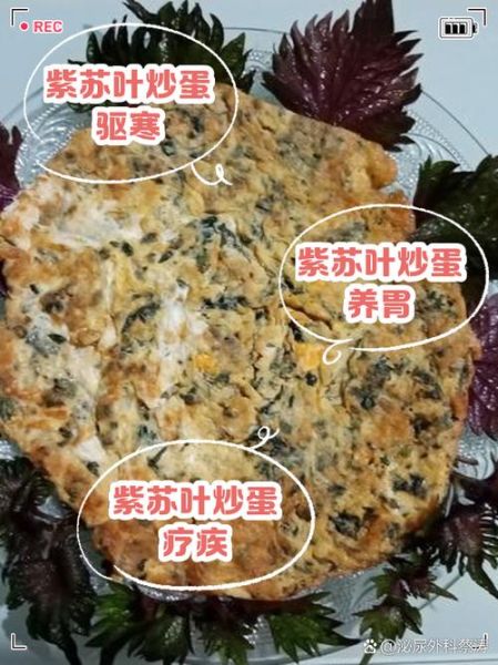 苏子叶炒鸡蛋怎么做_苏子叶炒鸡蛋的功效-第1张图片-山城妙识