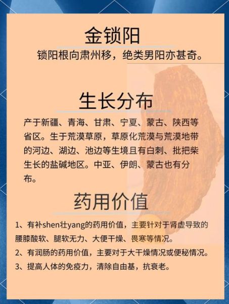 锁阳的功效与作用及禁忌_哪些人不能吃锁阳-第2张图片-山城妙识