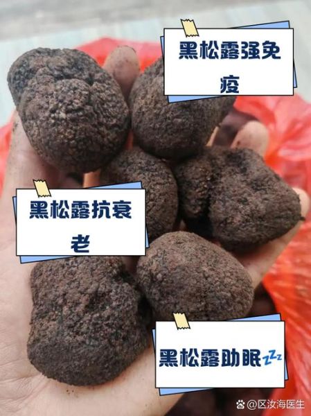 黑松露的功效与作用_怎么吃效果最好-第3张图片-山城妙识
