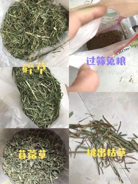 自制兔子草饼无烤箱怎么做_无烤箱兔子草饼做法-第2张图片-山城妙识