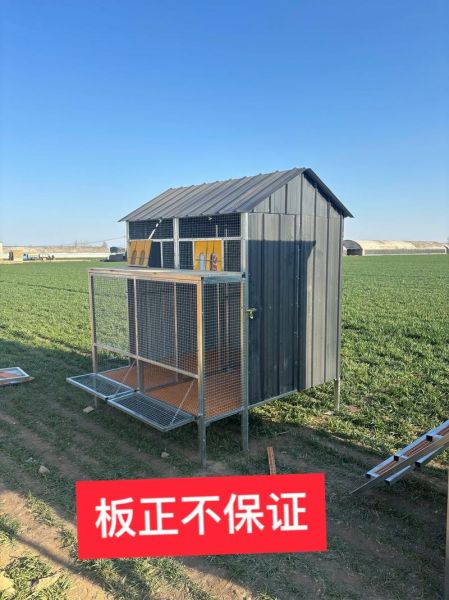 鸽子养殖大棚多少钱_建一个鸽子棚成本-第3张图片-山城妙识