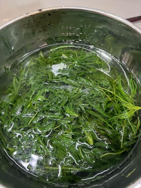 青团子的青汁用什么做_青团子青汁原料揭秘-第1张图片-山城妙识