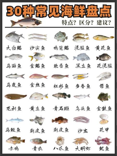 海鲜的种类及图片大全_常见海鲜名称与做法-第3张图片-山城妙识