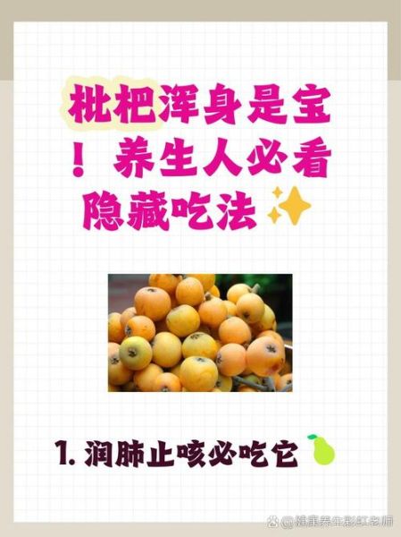 枇杷果泡水喝的功效与禁忌_枇杷果泡水怎么喝最好-第3张图片-山城妙识