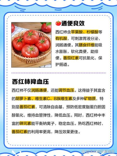 吃西红柿的好处和坏处_西红柿吃多了会怎样-第2张图片-山城妙识