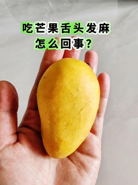 芒果不能和什么一起吃_芒果过敏怎么办-第3张图片-山城妙识