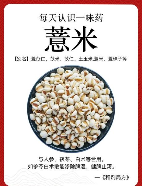薏米是什么米_薏米和薏仁的区别-第2张图片-山城妙识