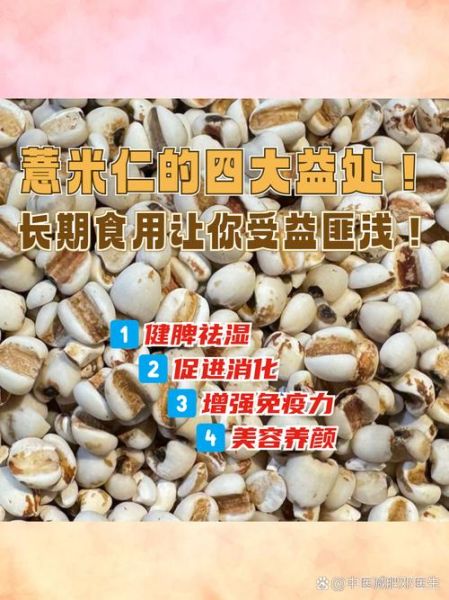 薏米是什么米_薏米和薏仁的区别-第3张图片-山城妙识