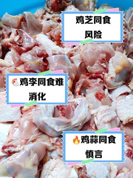 鸡肉和什么相克_吃鸡肉的禁忌有哪些-第2张图片-山城妙识