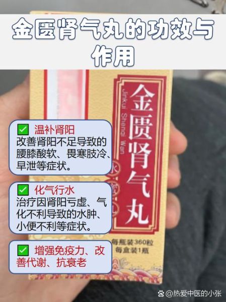 补肾吃什么药膳好_肾虚如何食补-第3张图片-山城妙识