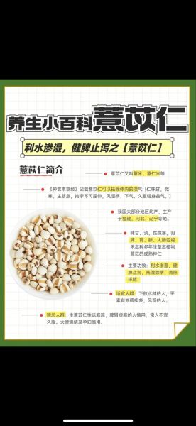 薏仁水能天天喝吗_薏仁水的功效与作用-第2张图片-山城妙识