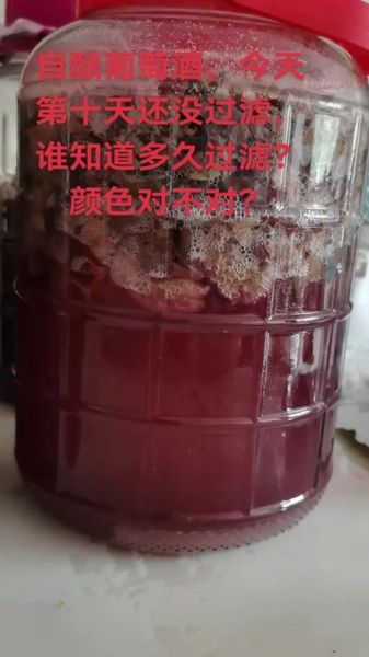 自制葡萄酒泡几天可以喝_第一次发酵多久能过滤-第3张图片-山城妙识