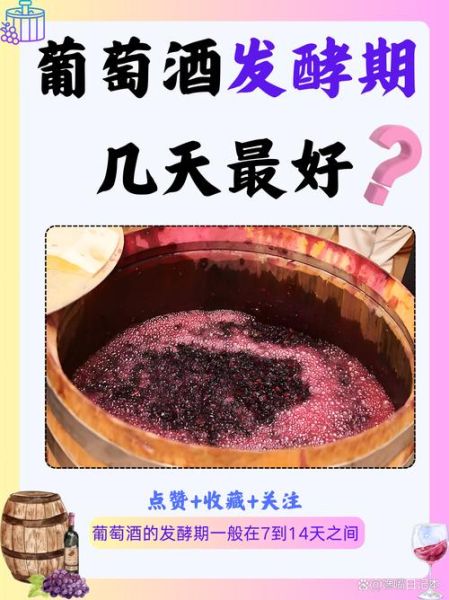自制葡萄酒泡几天可以喝_第一次发酵多久能过滤-第2张图片-山城妙识