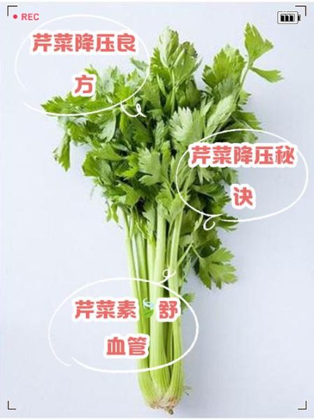 降血压蔬菜第一名_芹菜怎么吃最有效-第3张图片-山城妙识
