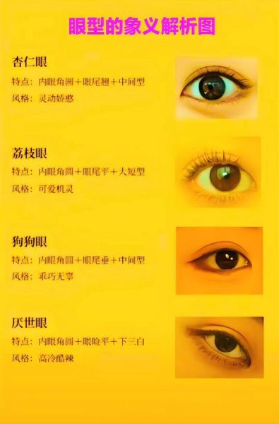 腰果眼型图_如何分辨真假腰果眼-第3张图片-山城妙识