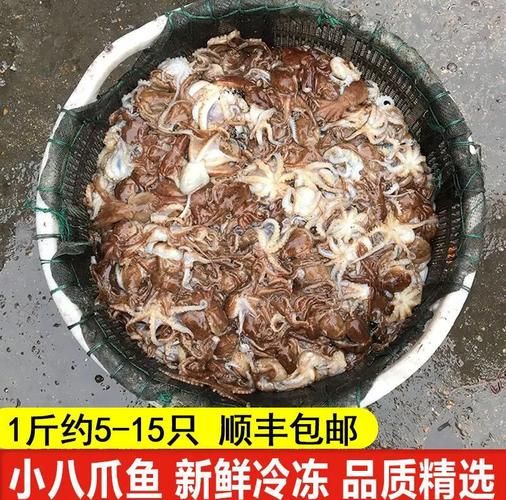迷你小八爪鱼怎么清洗_迷你八爪鱼清洗技巧-第2张图片-山城妙识