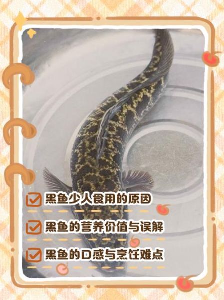 黑鱼什么人不能吃_黑鱼禁忌人群有哪些-第2张图片-山城妙识