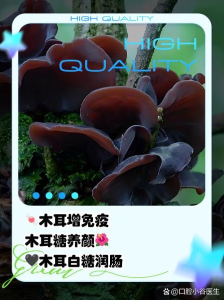 黑糯米的功效与作用_白木耳怎么吃最养肺-第3张图片-山城妙识 黑糯米的功效与作用_白木耳怎么吃最养肺-第3张图片-山城妙识
