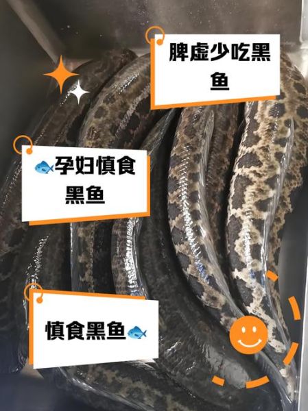 黑鱼什么人不能吃_黑鱼禁忌人群有哪些-第3张图片-山城妙识