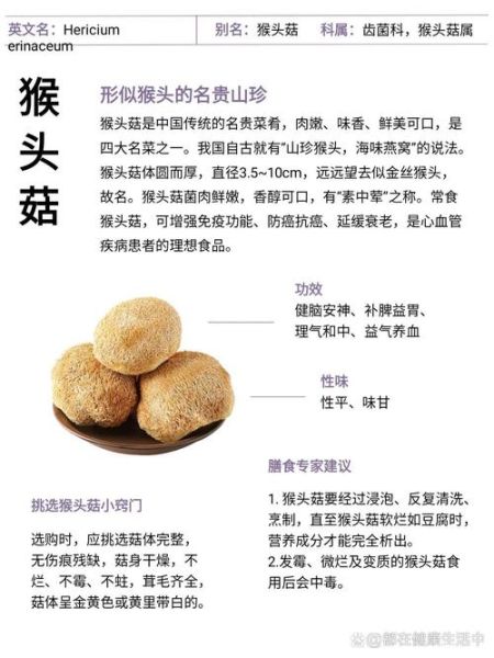新鲜猴头菇的功效与作用禁忌_哪些人不能吃-第2张图片-山城妙识 新鲜猴头菇的功效与作用禁忌_哪些人不能吃-第2张图片-山城妙识