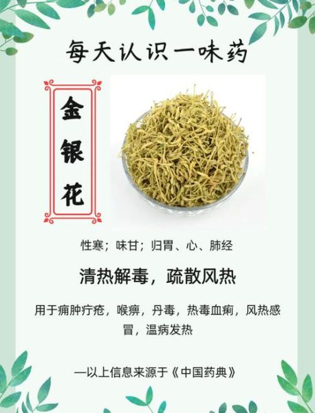 金银花泡水喝的害处有哪些_长期饮用副作用-第1张图片-山城妙识