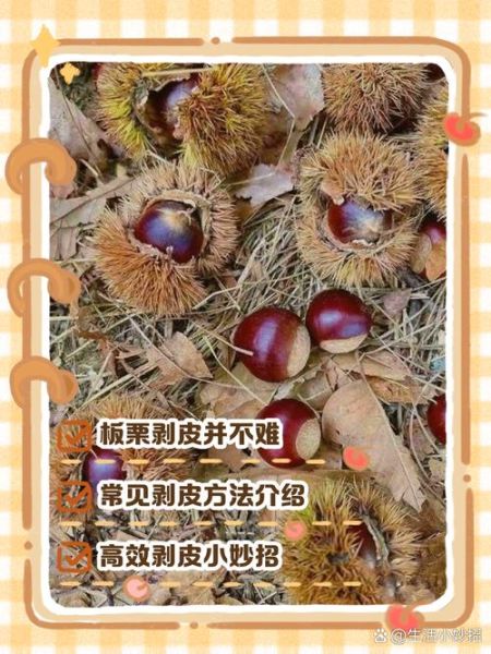 生栗子怎么去皮_生栗子快速去皮方法-第2张图片-山城妙识