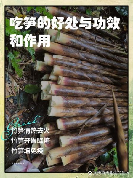 竹笋的营养价值_竹笋吃了有什么好处-第2张图片-山城妙识