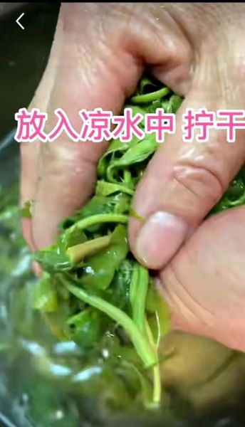 香椿芽咸菜怎么做_香椿芽咸菜保存多久-第3张图片-山城妙识