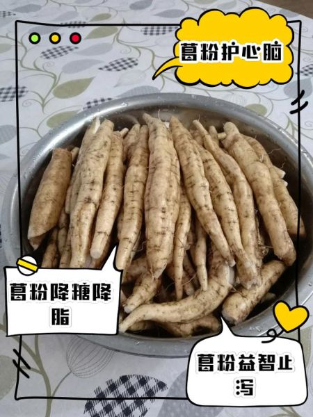 葛粉什么时候吃效果更佳_空腹还是饭后-第3张图片-山城妙识
