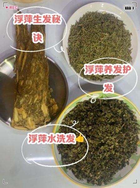 生发偏方大全_哪些民间方法真的有效-第3张图片-山城妙识