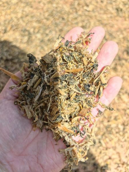 梅干菜作者怎么了_梅干菜作者停更原因-第2张图片-山城妙识