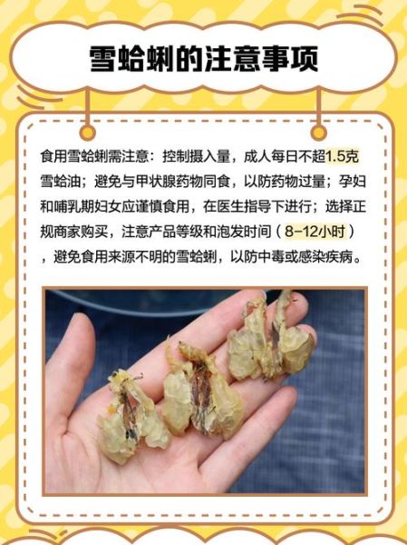 雪蛤的价格一般是多少_雪蛤多少钱一克-第3张图片-山城妙识