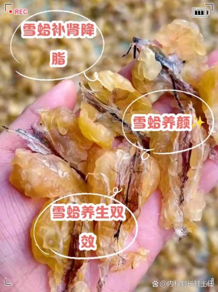 雪蛤的价格一般是多少_雪蛤多少钱一克-第1张图片-山城妙识