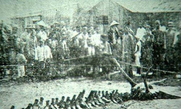 营口坠龙事件真相_营口坠龙事件是真的吗-第1张图片-山城妙识 营口坠龙事件真相_营口坠龙事件是真的吗-第1张图片-山城妙识