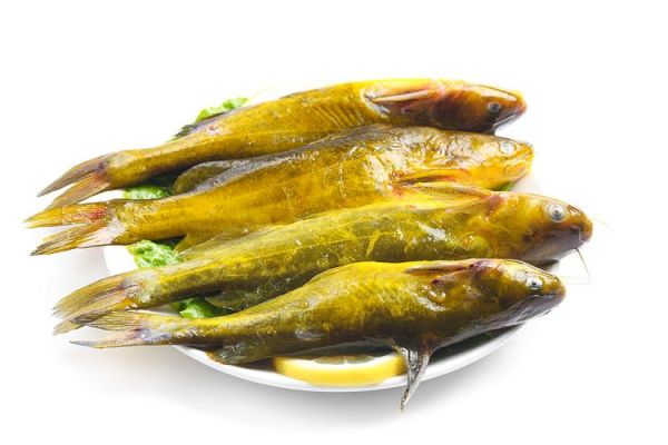 黄蜂鱼多少钱一斤_黄蜂鱼价格行情-第3张图片-山城妙识