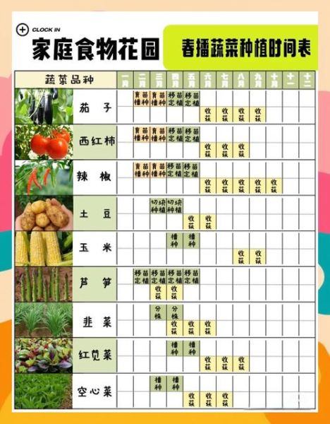 青菜什么时候种最合适_青菜怎么种才高产-第3张图片-山城妙识