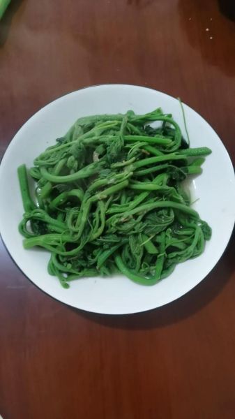 南瓜藤怎么做好吃_南瓜藤的做法大全-第1张图片-山城妙识