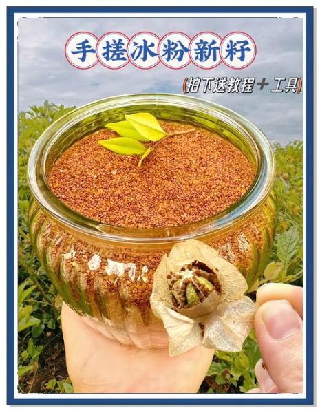 气泡冰粉的做法_气泡冰粉配方窍门-第2张图片-山城妙识